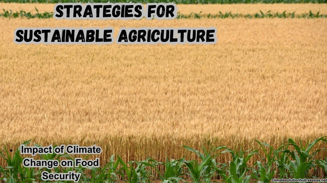 Climate Change and Food Security: Climate Solution Hub